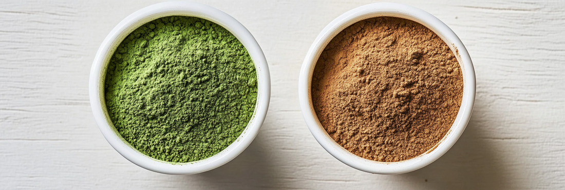 Moringa Powder vs Extract: Why The Color Difference and Which Should Y ...