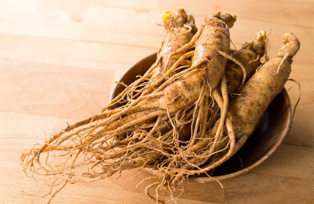 Korean Red Ginseng: Ancient Wisdom Meets Modern Wellness – Herba