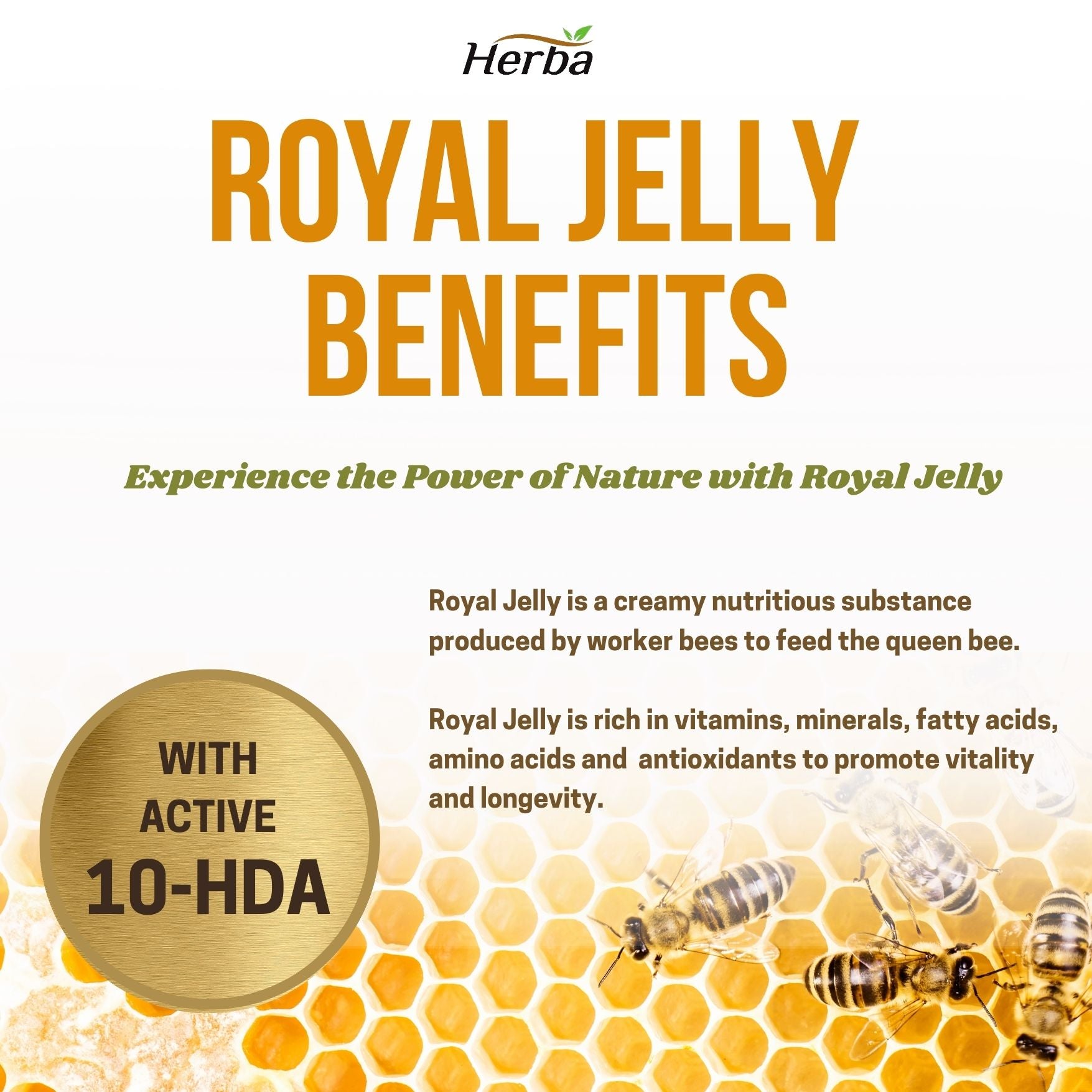 Buy Royal Jelly Capsules 1000mg - 200 Softgels | Made in Canada – Herba