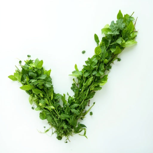 High Quality Supplements & Natural Vitamins | Herba Health