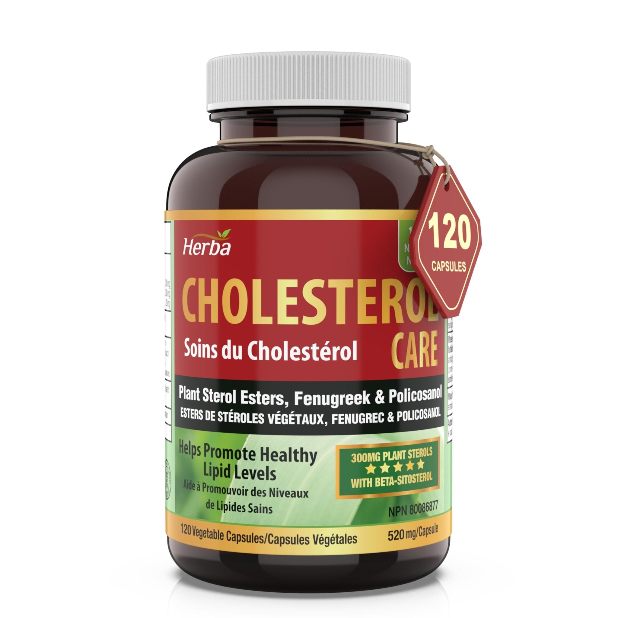 Cholesterol Care – 120 Vegetable Capsules – Herba