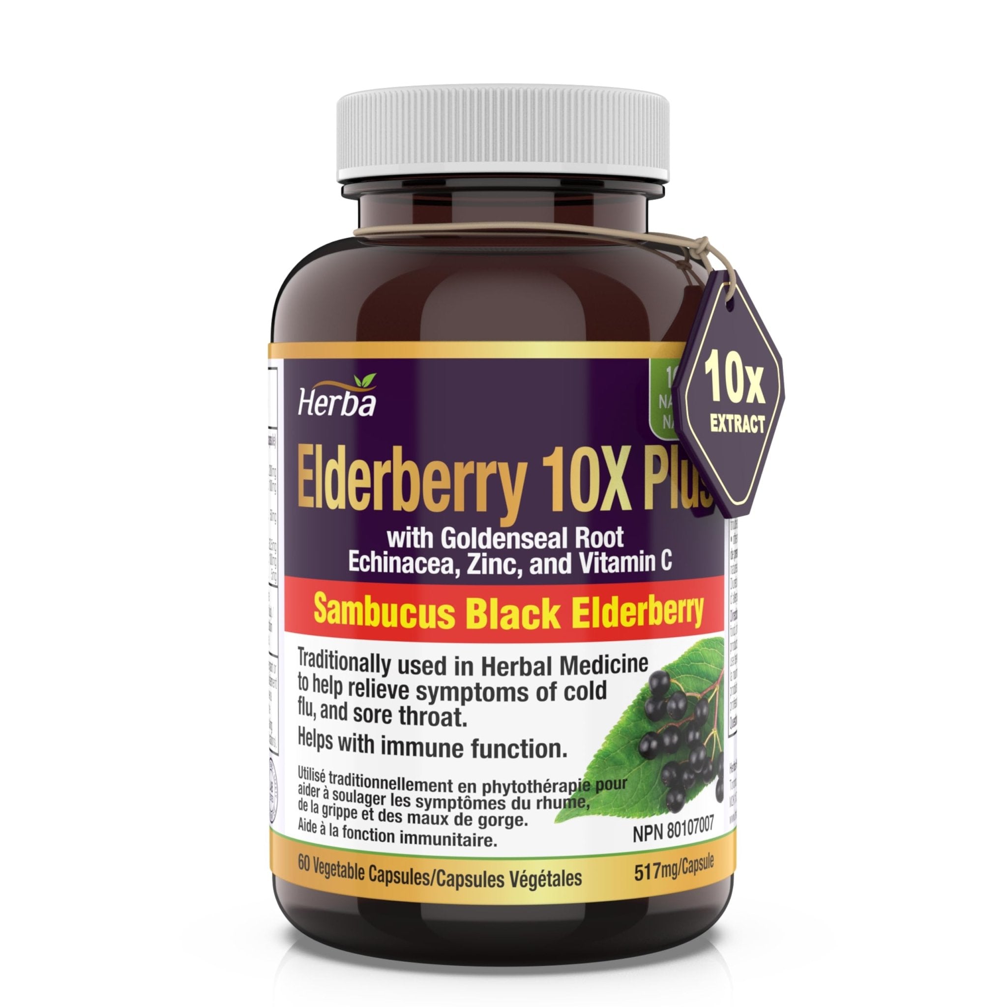 Sambucus Black Elderberry Capsules – 2,000mg Equivalent | 10:1 Extract ...