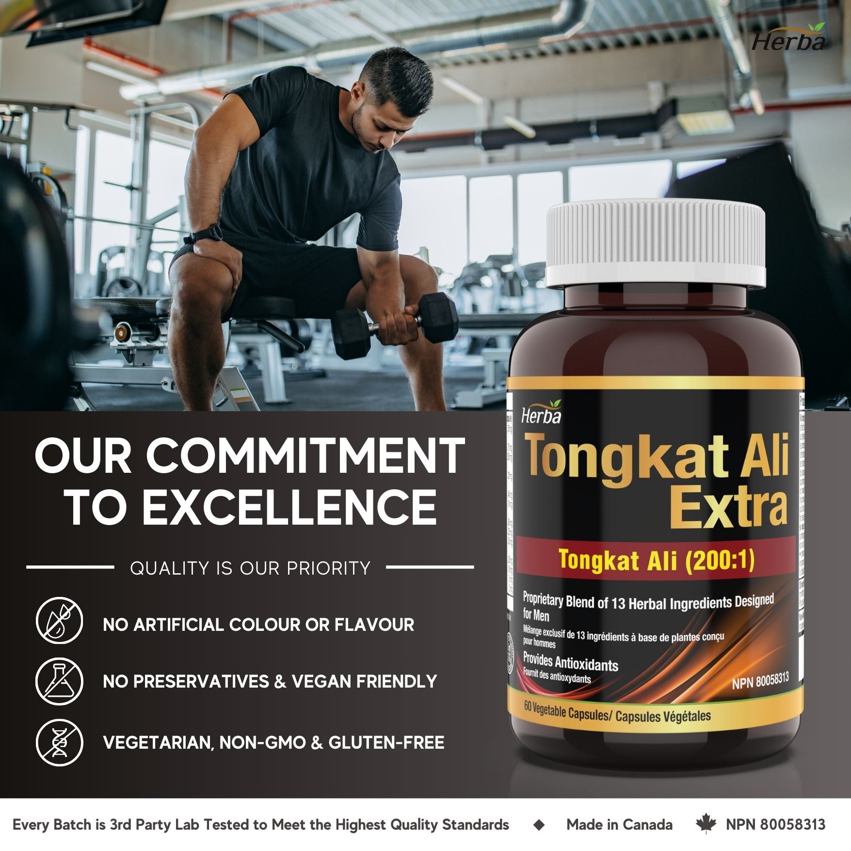 Tongkat Ali Supplement 200:1 - Made in Canada | 60 Capsules | Propriet ...