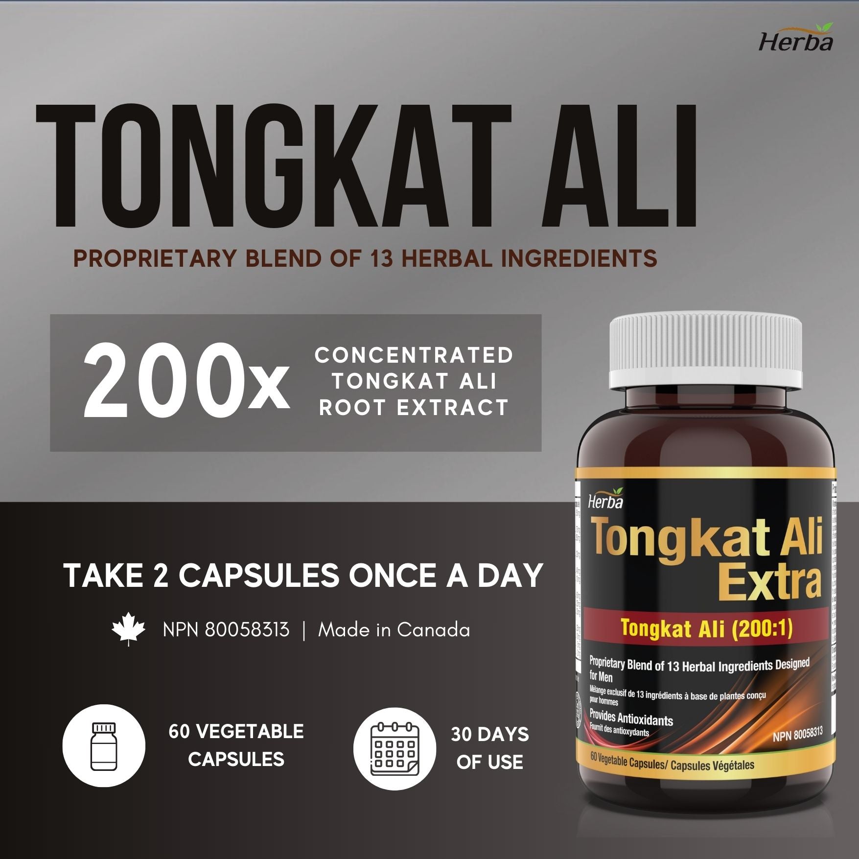 Tongkat Ali Supplement 200:1 - Made in Canada | 60 Capsules | Propriet ...