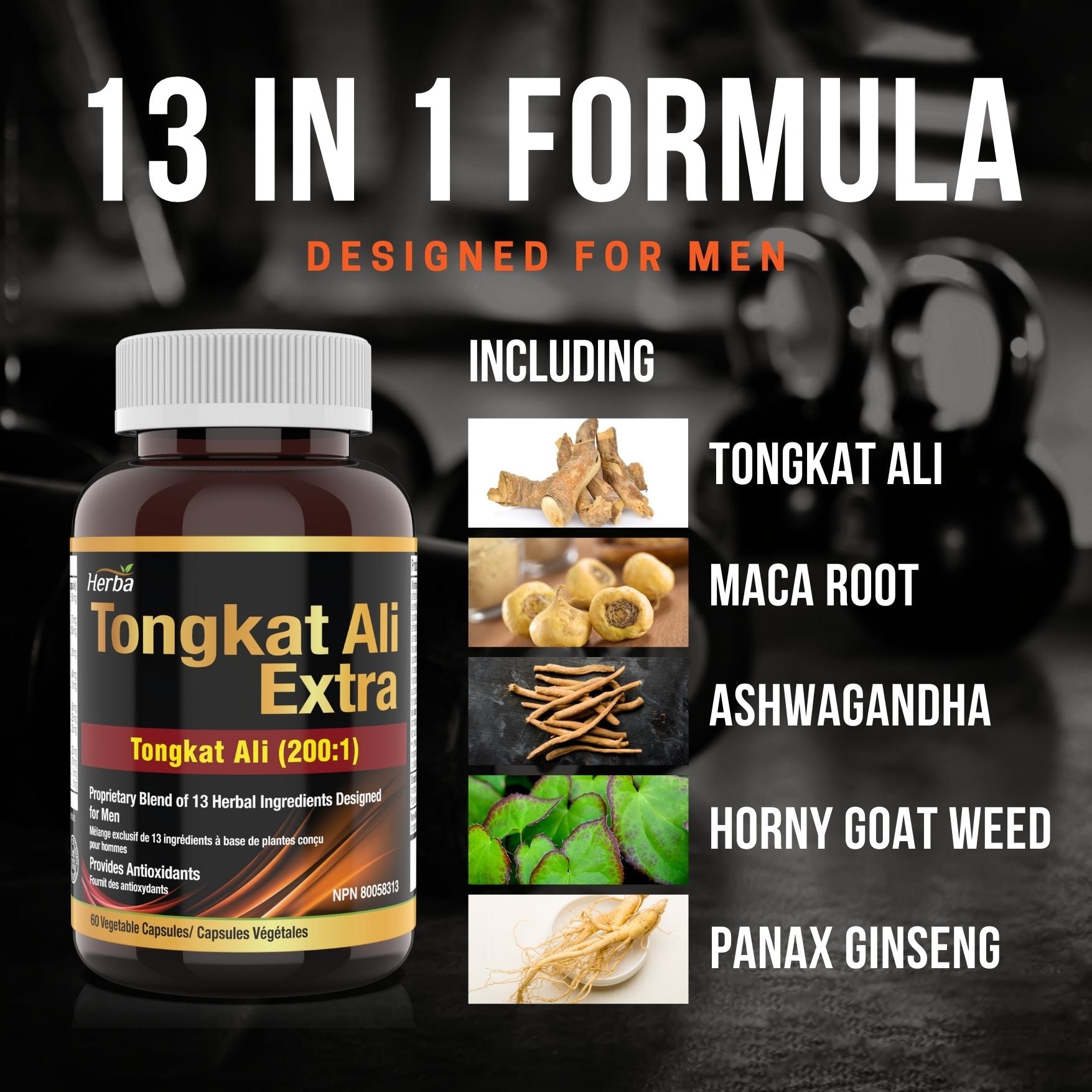 Tongkat Ali Supplement 200:1 - Made in Canada | 60 Capsules | Propriet ...